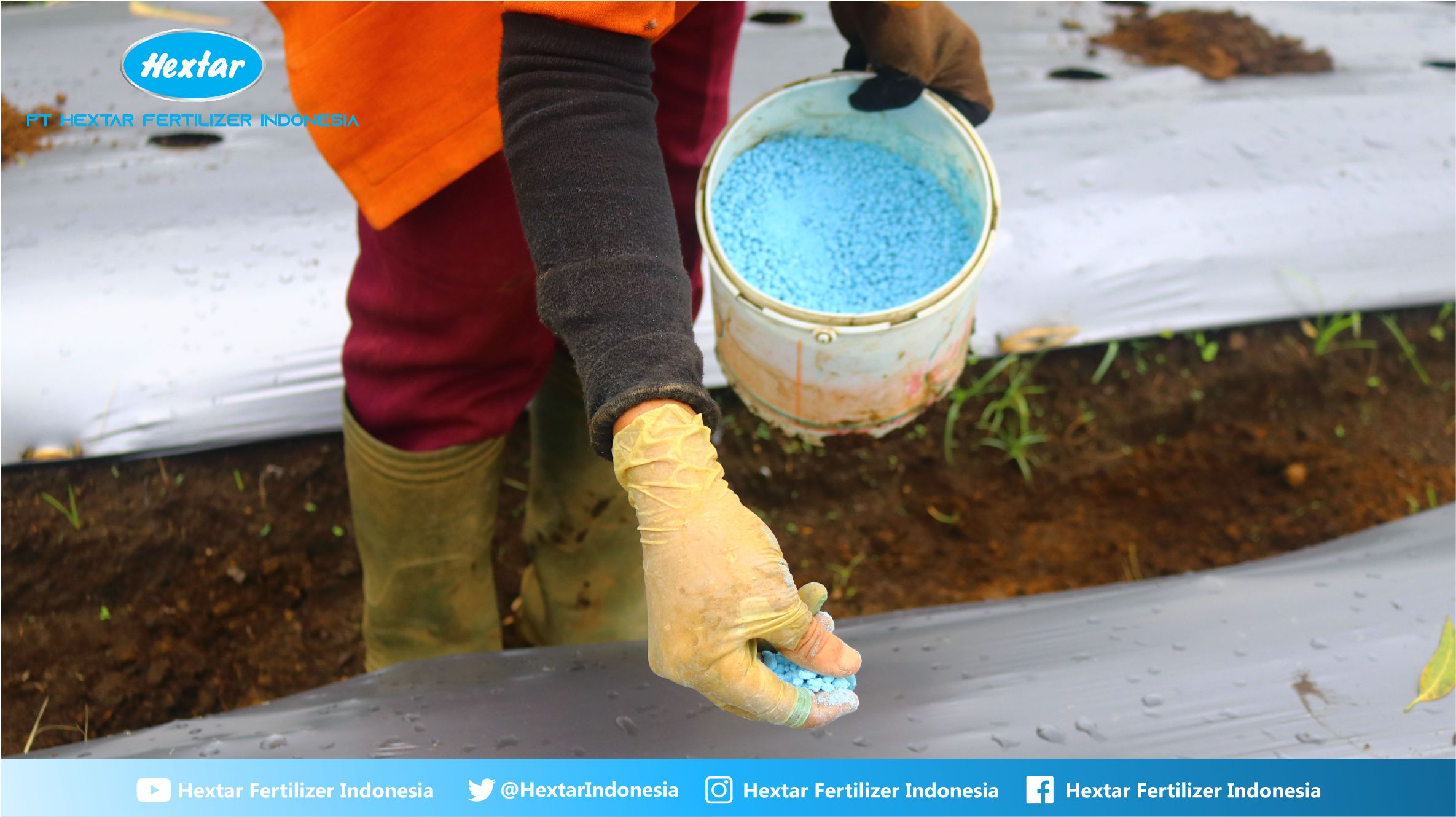 Pengertian dan Klasifikasi Pupuk - DGW Fertilizer