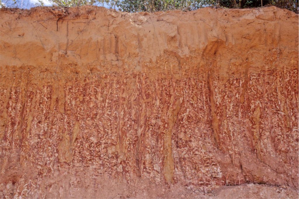 Mengenal Jenis dan Karakter Tanah untuk Pertanian - DGW Fertilizer