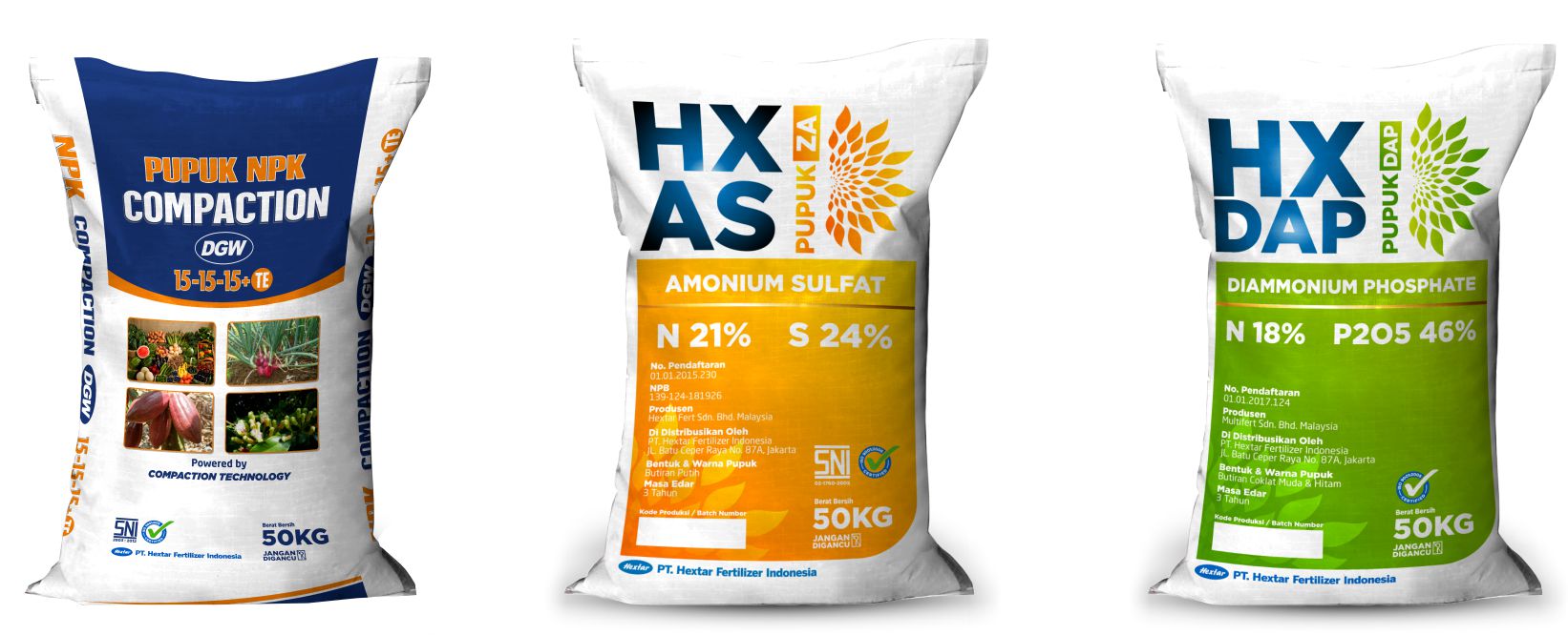 Tidak Sulit, Begini Cara Mudah Pemupukan Bawang Putih untuk Hasil ...