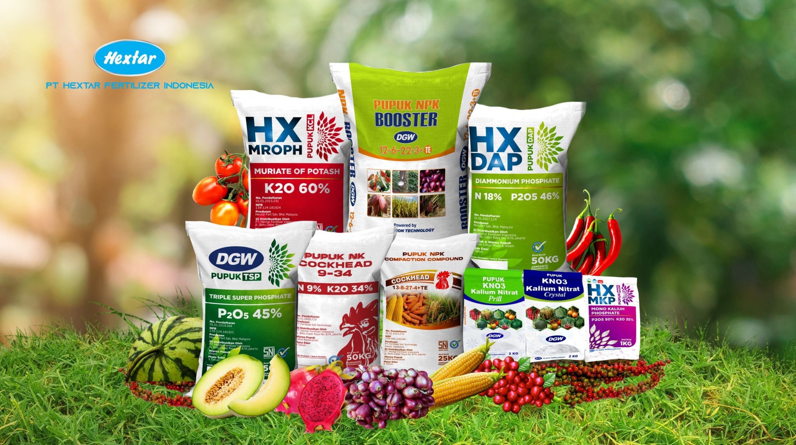 9 Rekomendasi Pupuk Terbaik untuk Merangsang Pembungaan dan Pembuahan ...