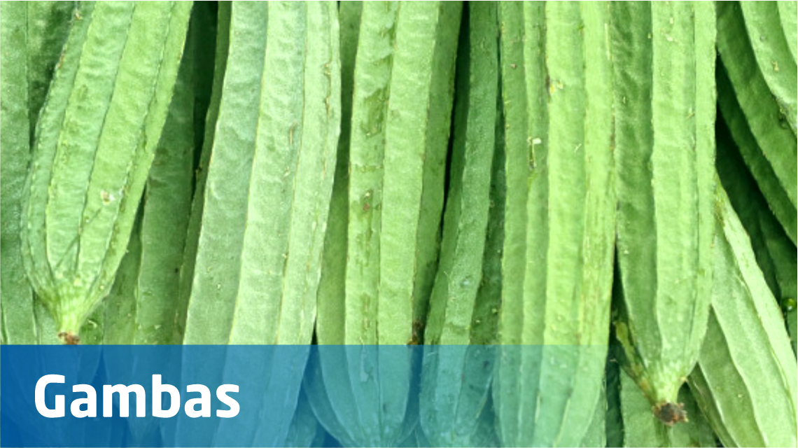 Crop - DGW Fertilizer