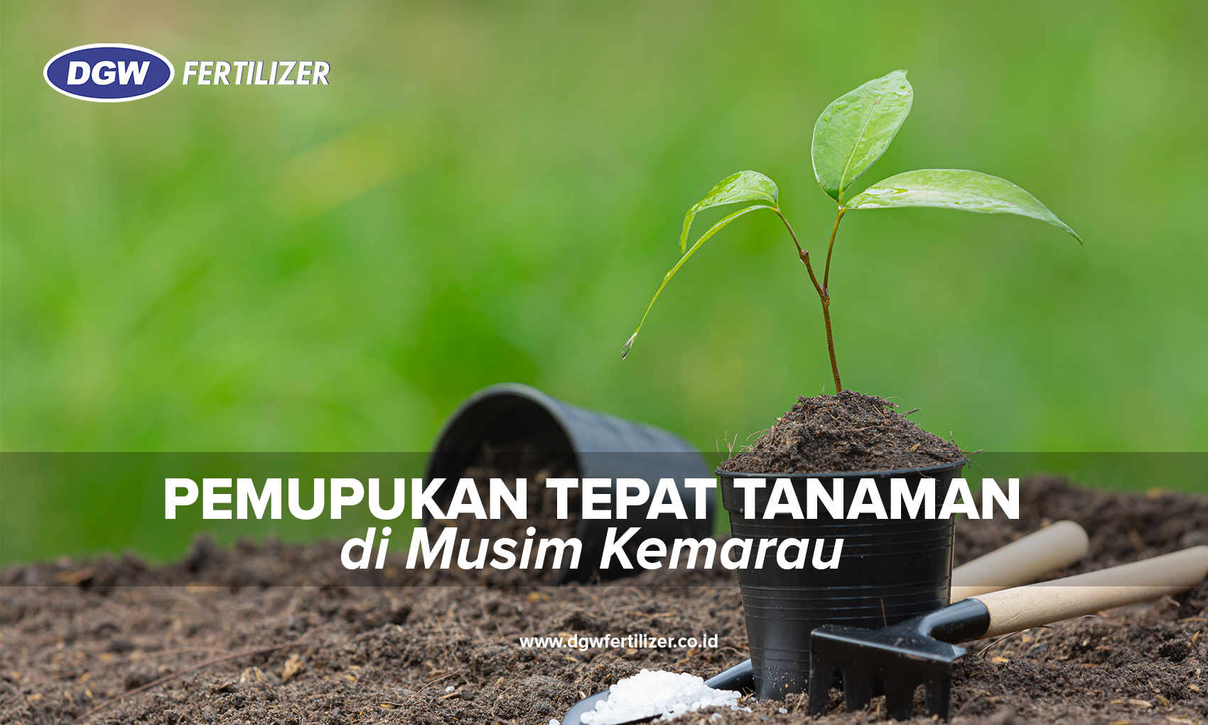 Pemupukan Tanaman yang Tepat di Musim Kemarau - DGW Fertilizer