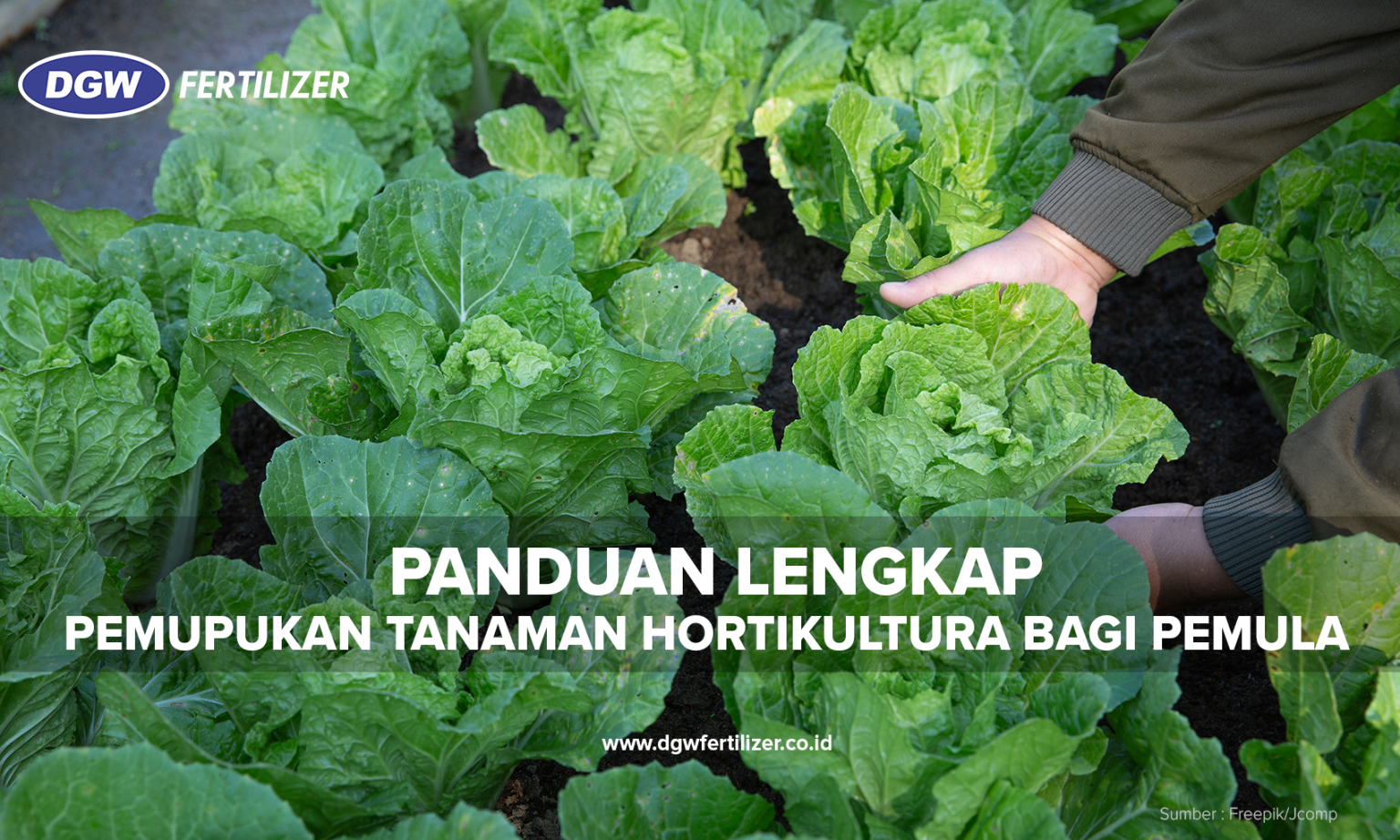 Panduan Pemupukan Tanaman Hortikultura untuk Pemula - DGW Fertilizer