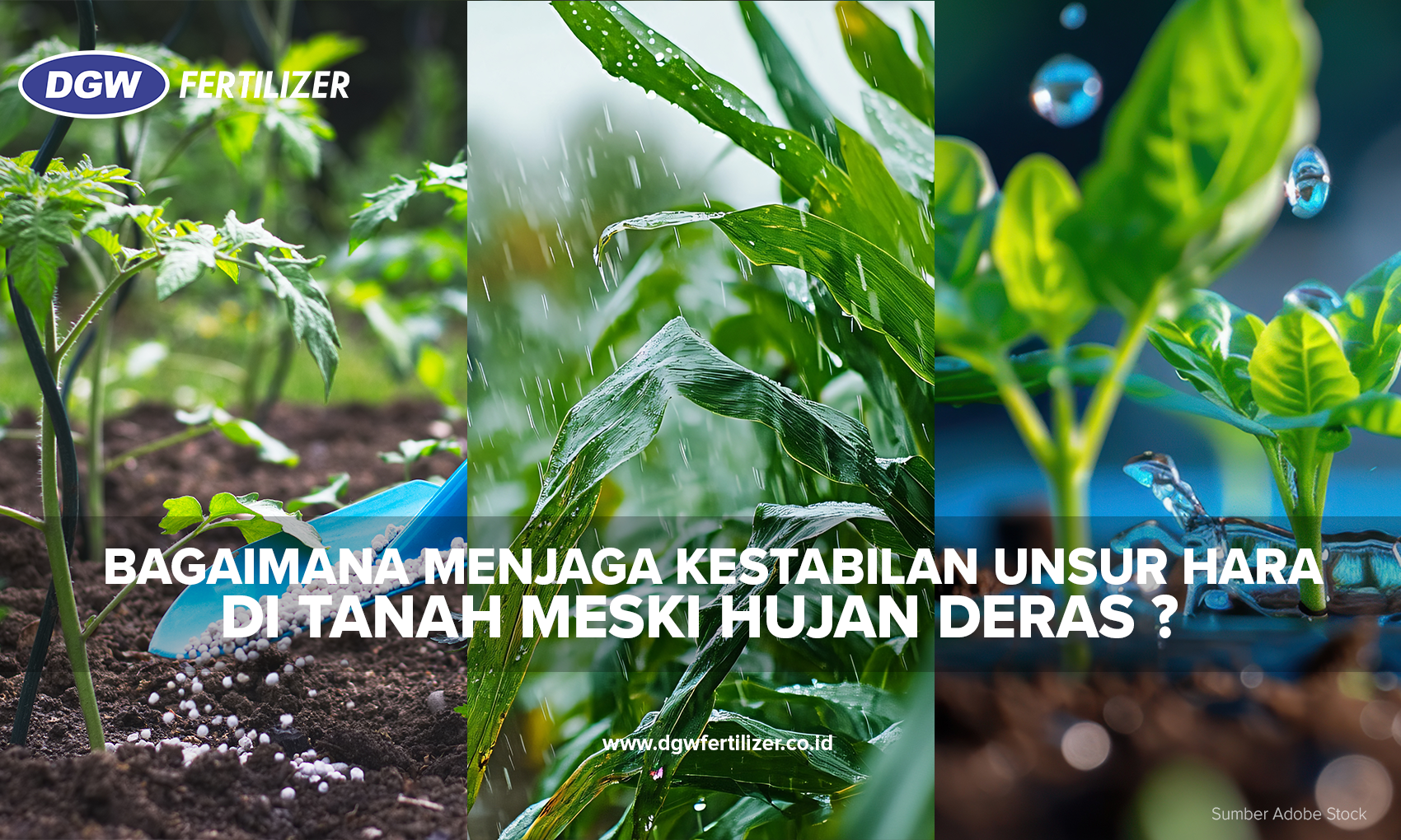 Bagaimana Menjaga Kestabilan Unsur Hara di Tanah Meski Hujan Deras ...