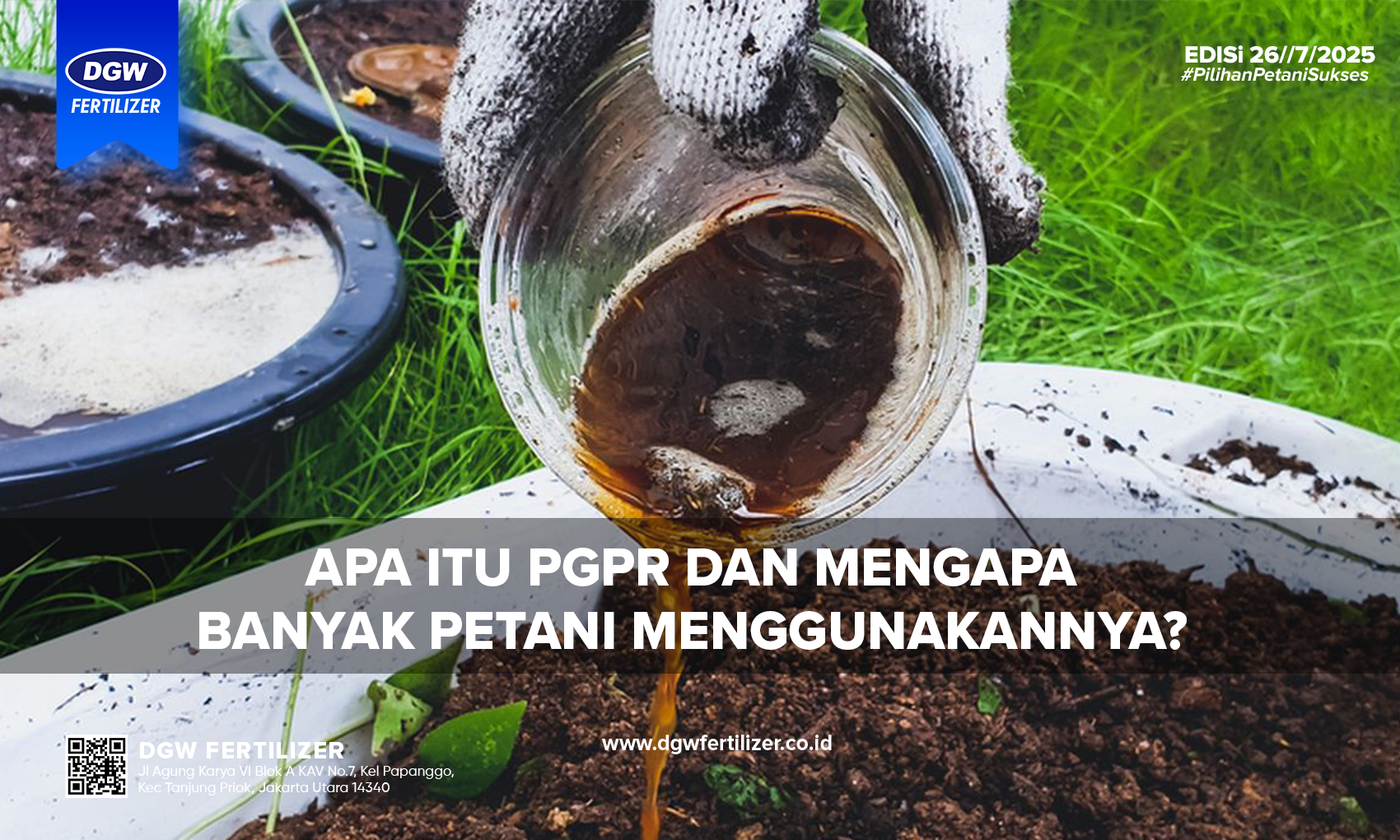 Apa Itu PGPR dan Mengapa Banyak Petani Menggunakannya? - DGW Fertilizer